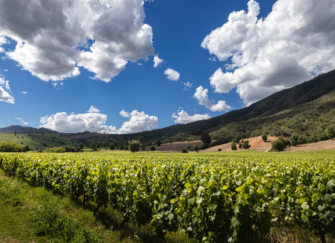Chile Travel Tips: Best Time to Visit, Things to do & More