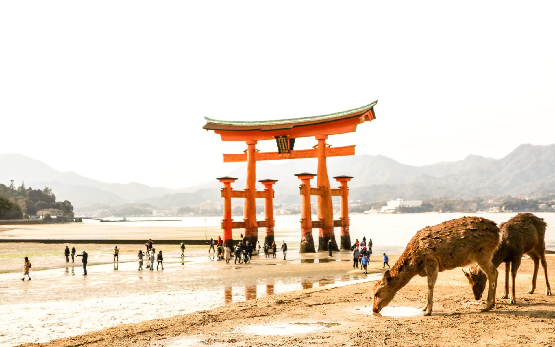 Two-Week Rural Japan Explorer | Wayfairer Travel