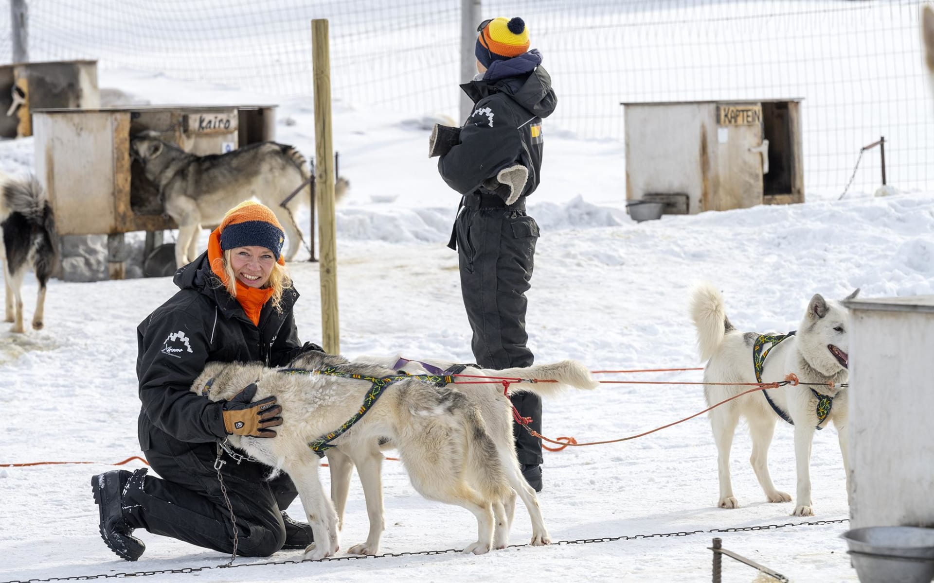 Arctic Winter Dog Sledding Adventure | Wayfairer Travel