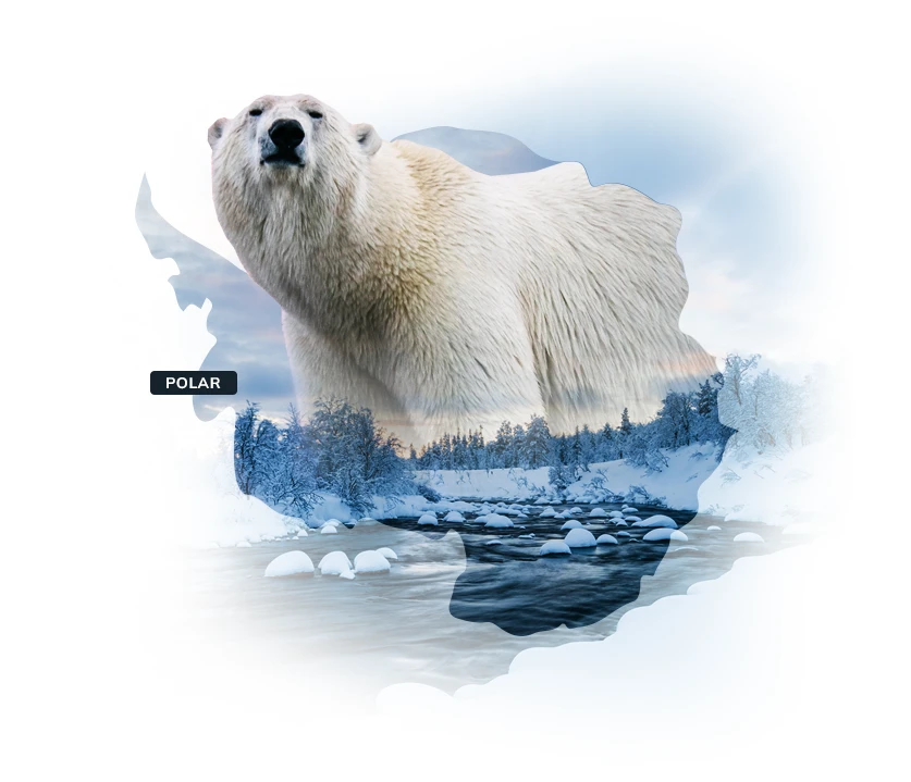Discovering Antarctica: Famous Polar Explorers