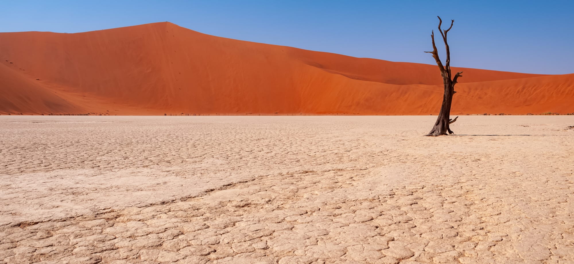 When to go to Namibia (Month by Month) | Wayfairer Travel