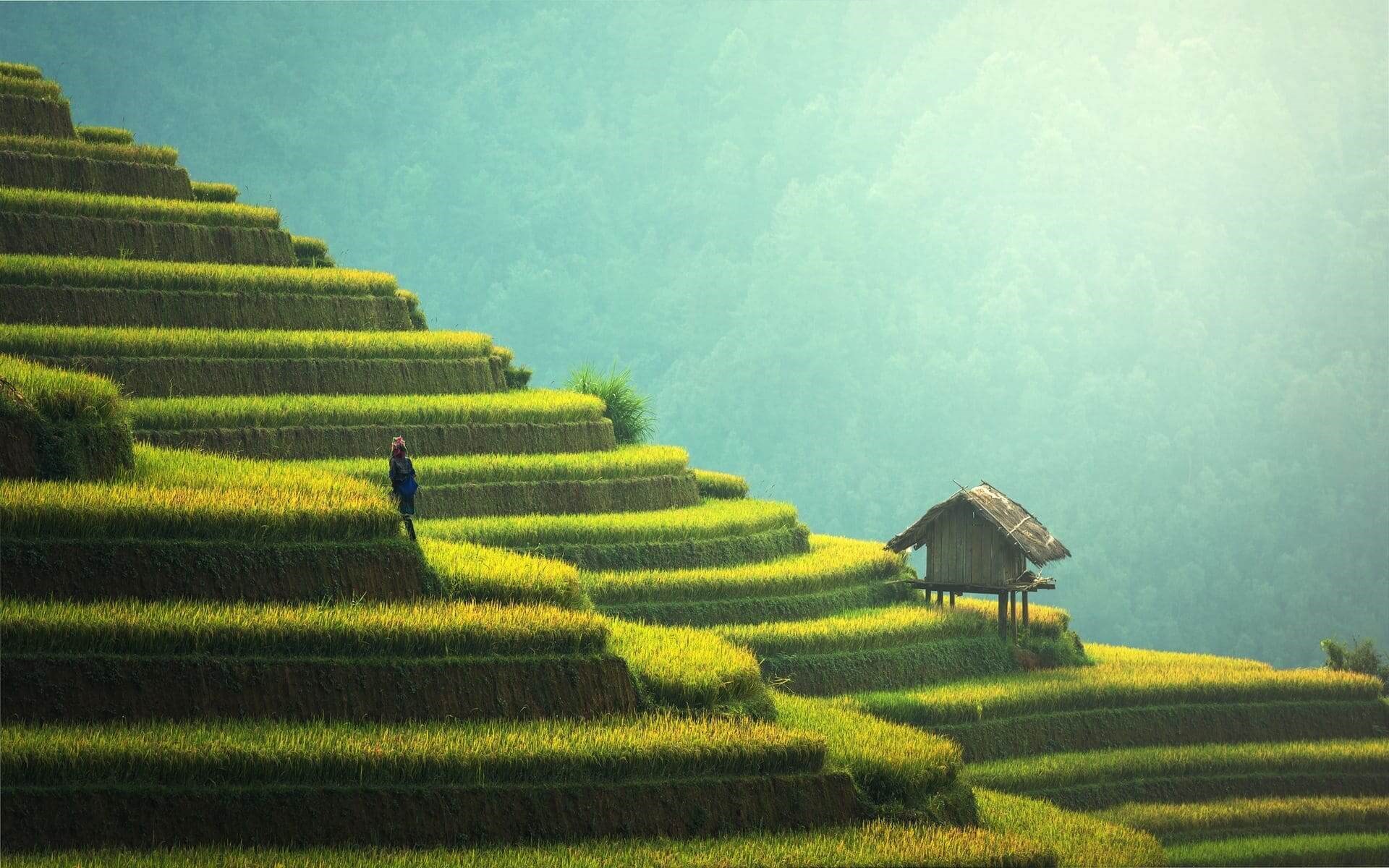 15 Most Beautiful Places To Visit in Vietnam | Wayfairer Travel
